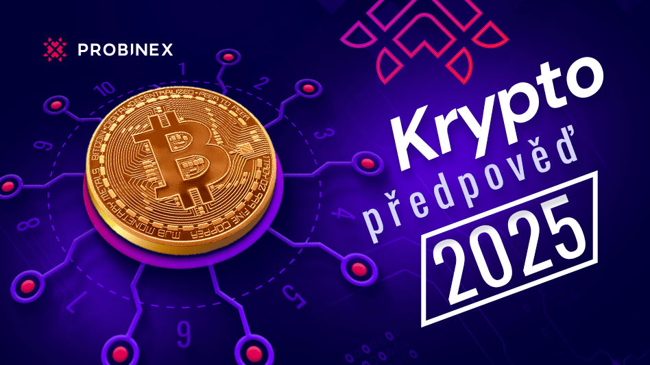 10 předpovědí pro kryptoměny na rok 2025: co čeká bitcoin a další krypto? | Probinex