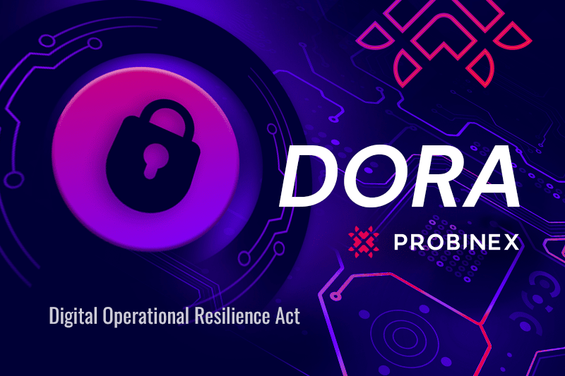 DORA: What rules does the new era of cybersecurity bring? | Probinex