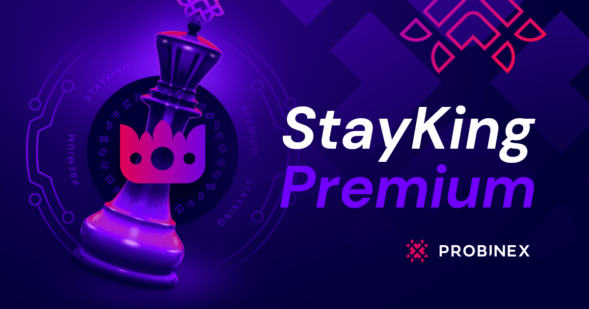 StayKing Premium | Probinex