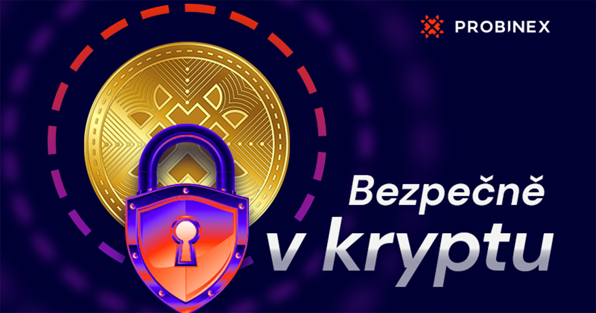 Kryptoměny bezpečně: Jak nenaletět podvodníkům a rozpoznat seriózní projekt | Probinex